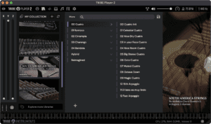 Tribe Player 2 : Advanced Sampler Engine | Tribe Instruments